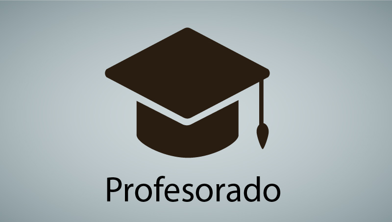 Profesores promedia formacion - PROMEDIA